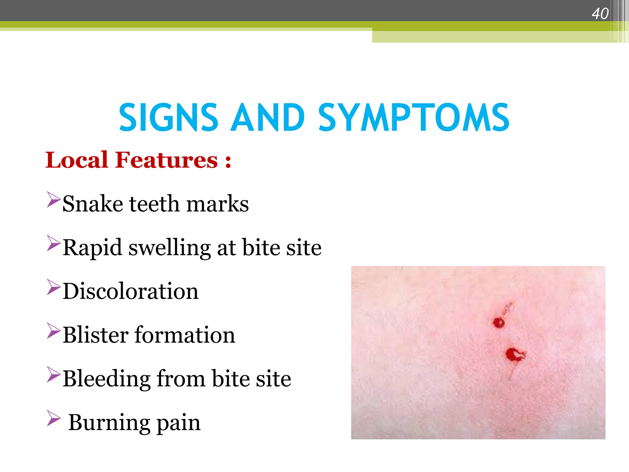 Medical Entomology , Insects of Medical importance.ppt
