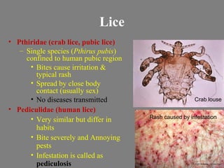 Medical entomology "the need to know about little creatures" | PPT