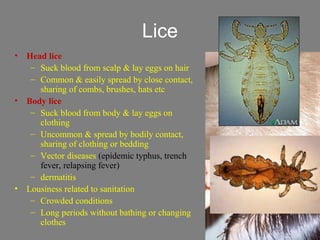 Medical entomology "the need to know about little creatures" | PPT
