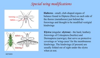 Medical Entomology L1-4 20.ppt