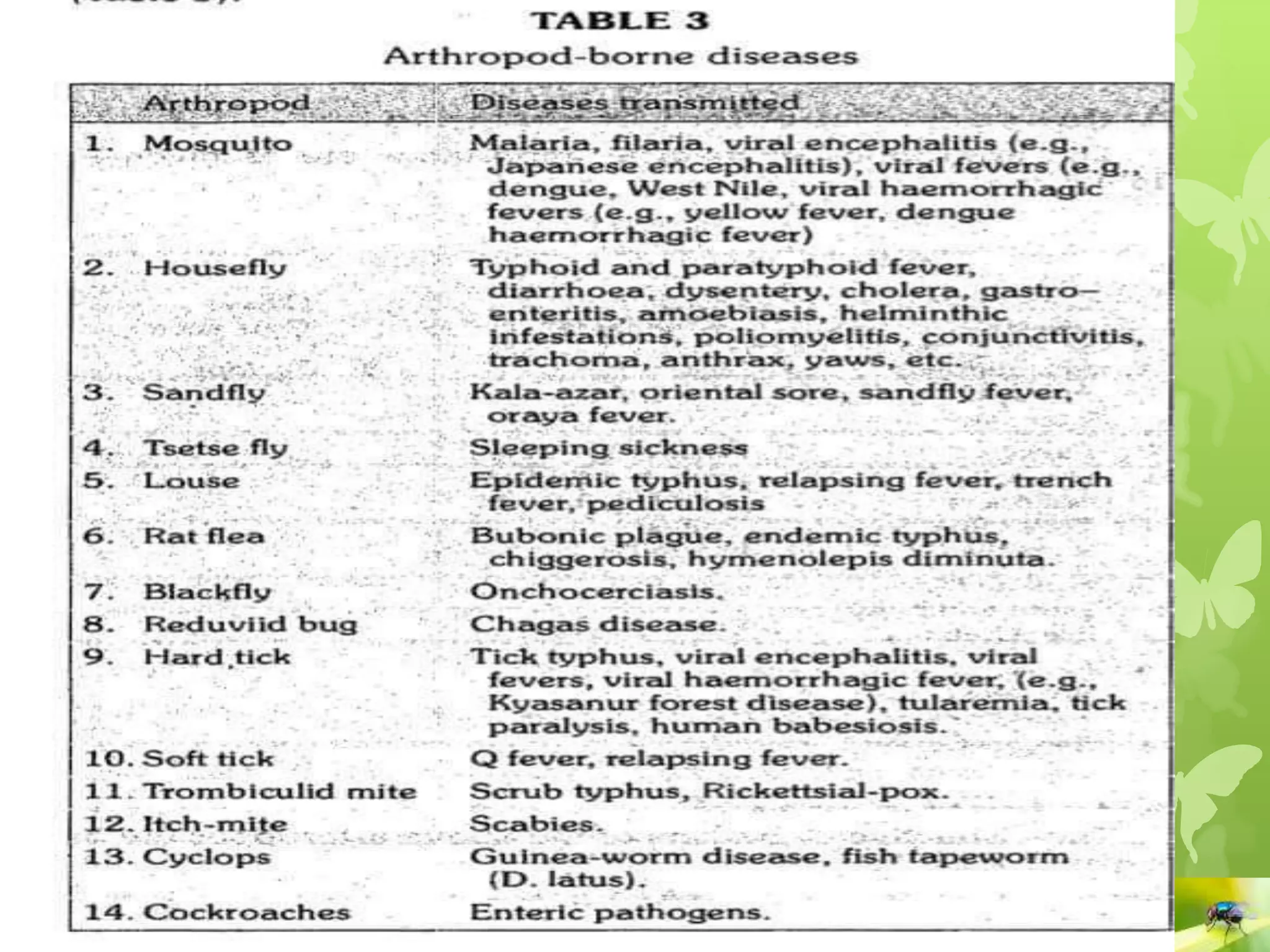 Medical entomology lecture ppt | PPTX