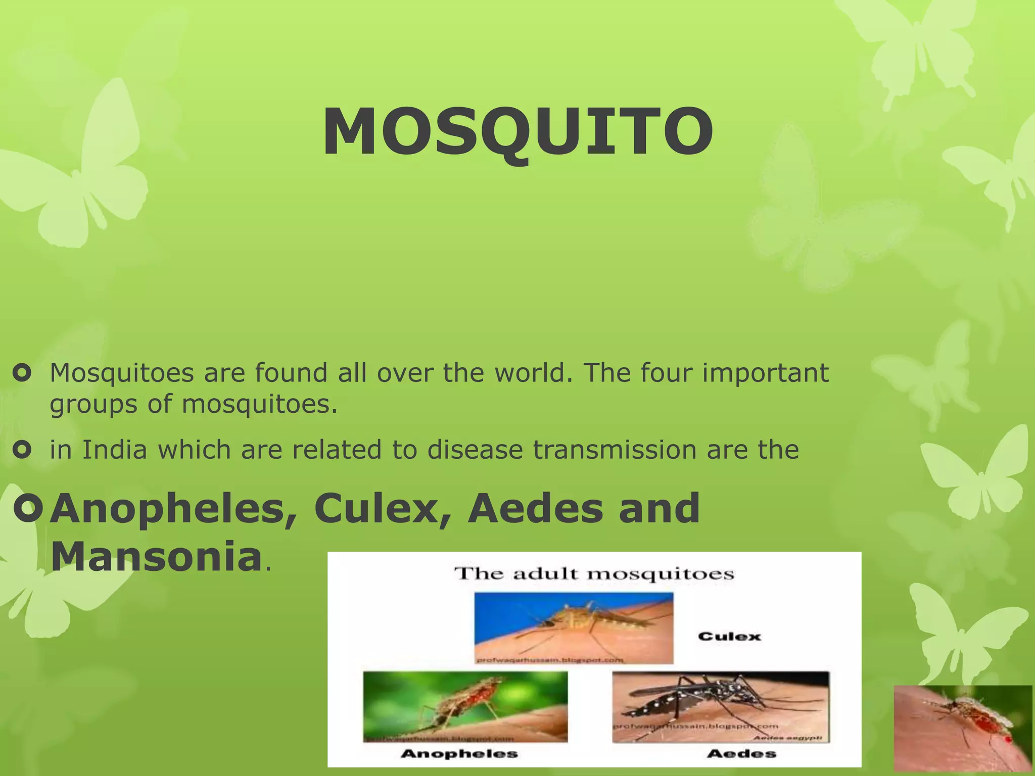Medical entomology lecture ppt | PPTX