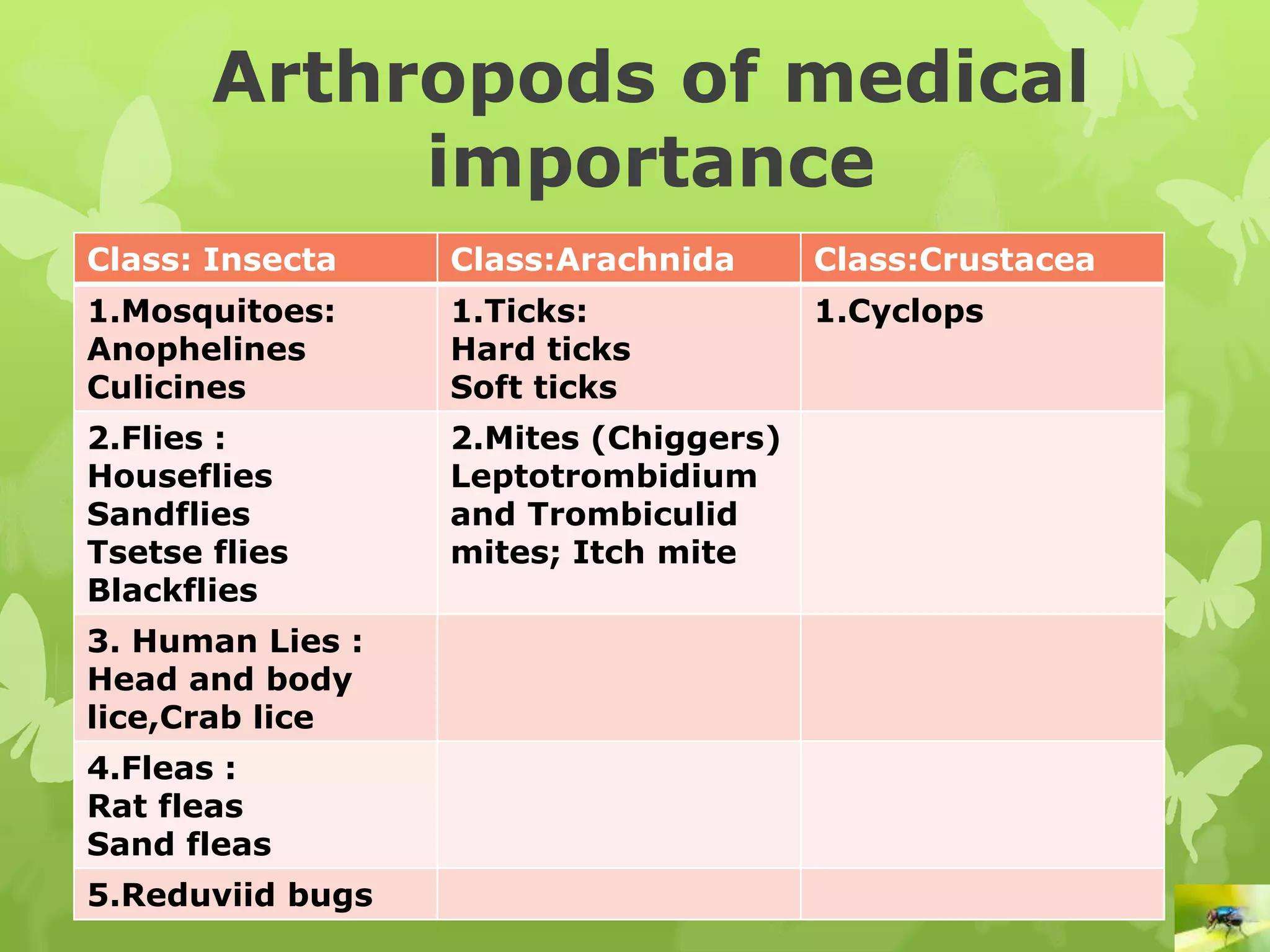 Medical entomology lecture ppt | PPTX