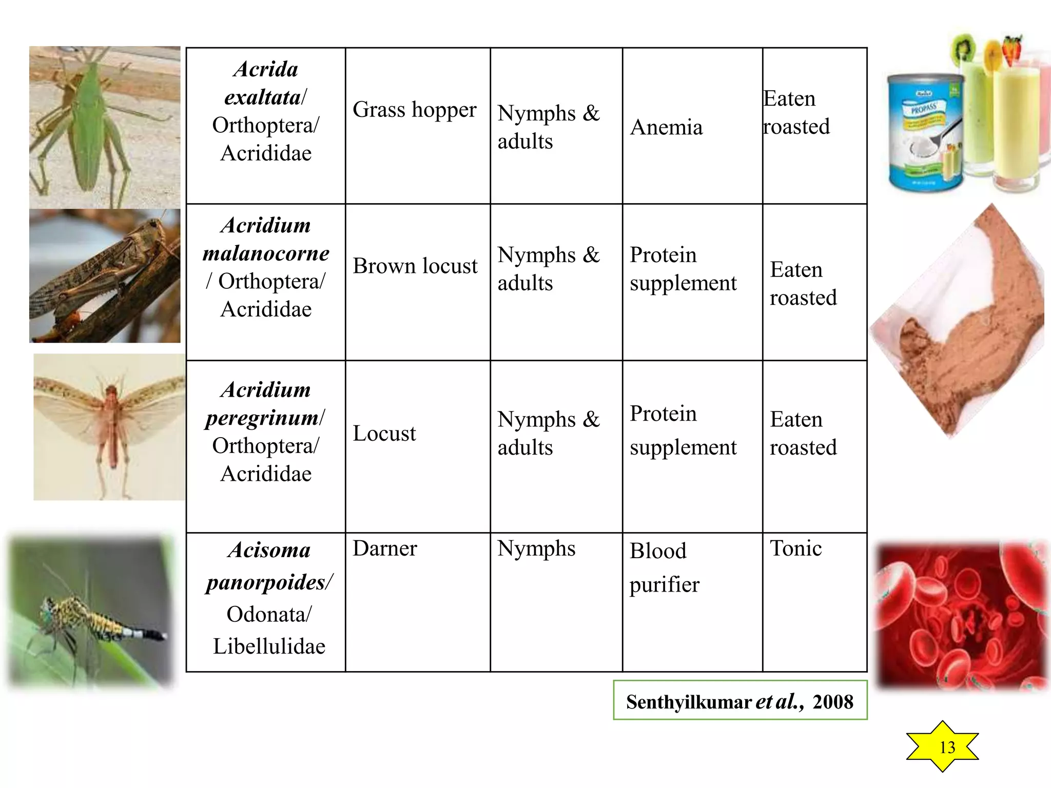 Medical Entomology - The role of insects in human medicine | PPTX