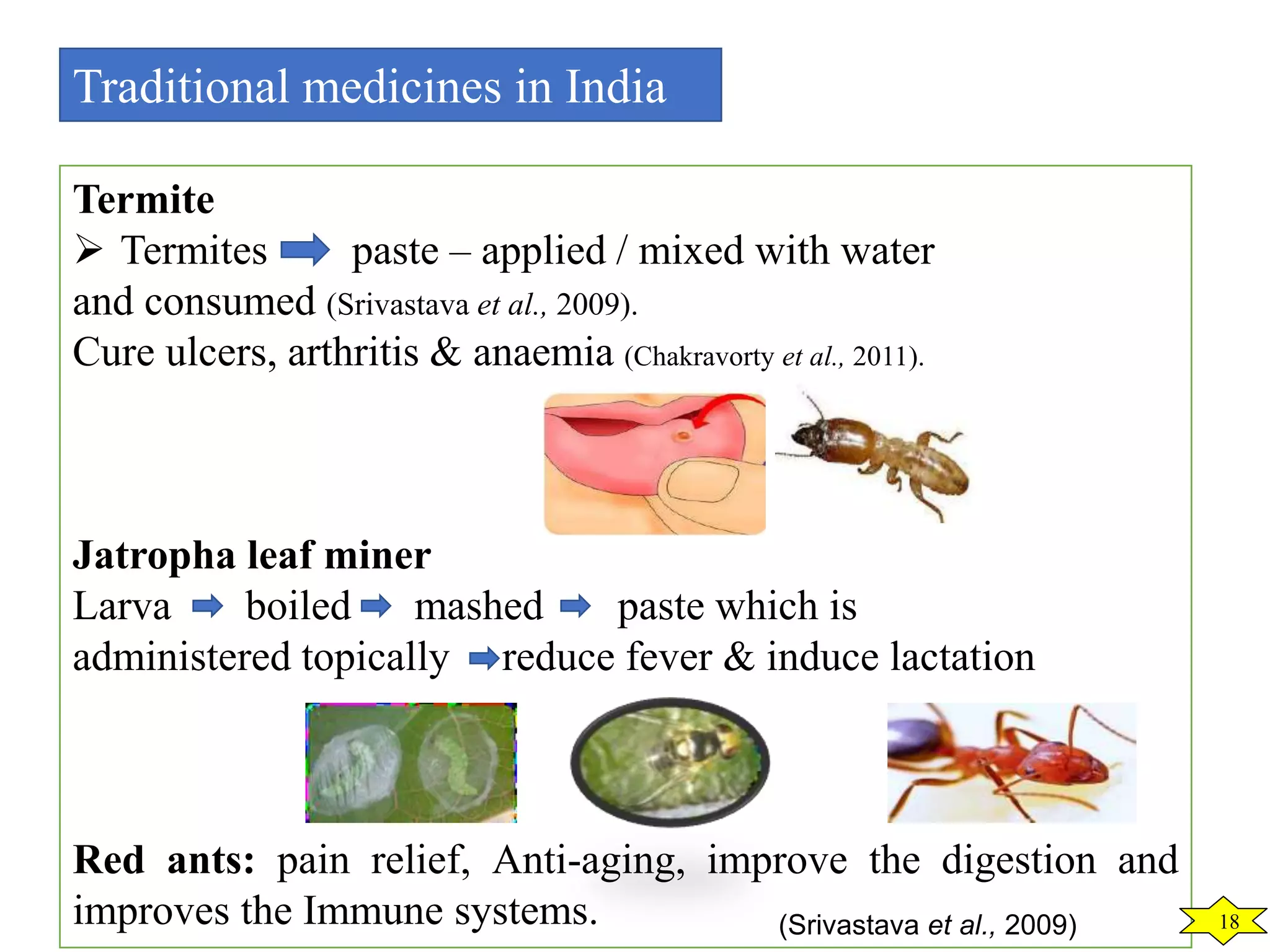 Medical Entomology - The role of insects in human medicine | PPTX