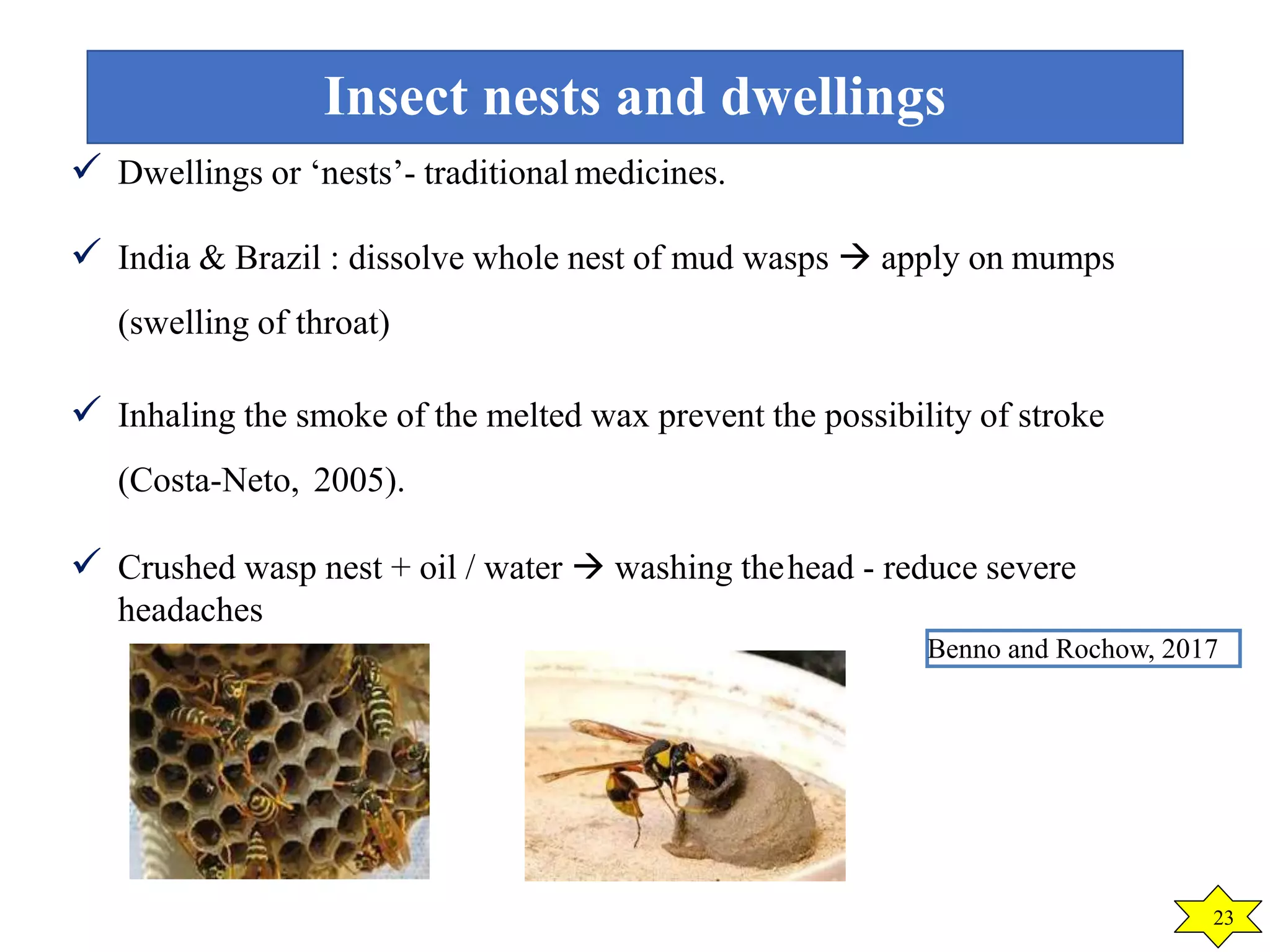 Medical Entomology - The role of insects in human medicine | PPTX