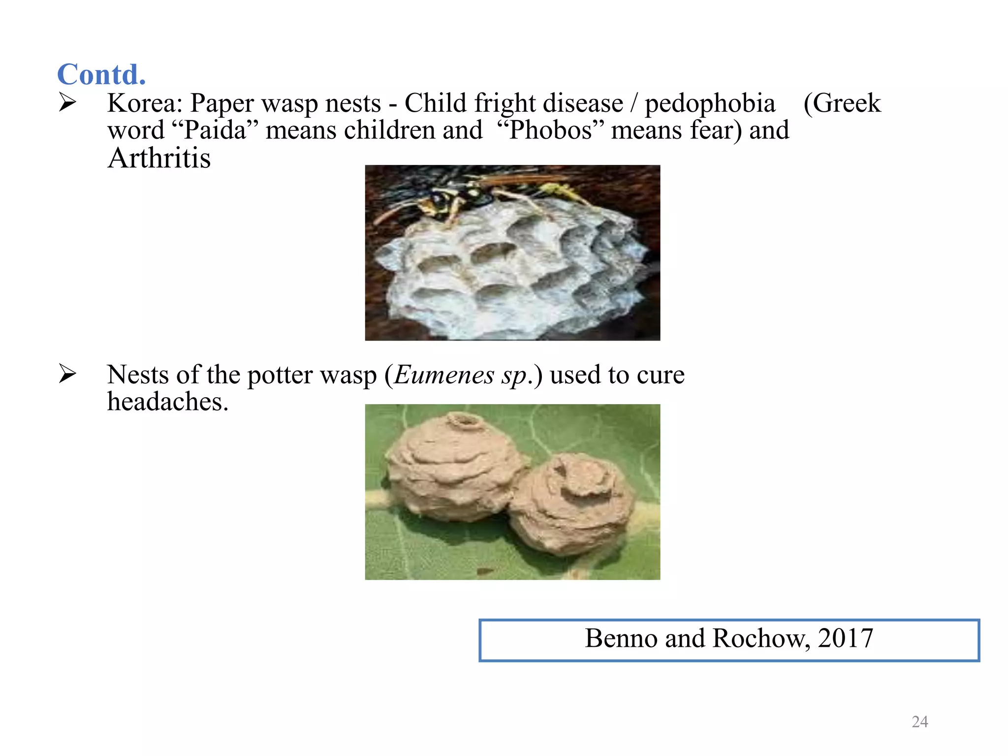 Medical Entomology - The role of insects in human medicine | PPTX
