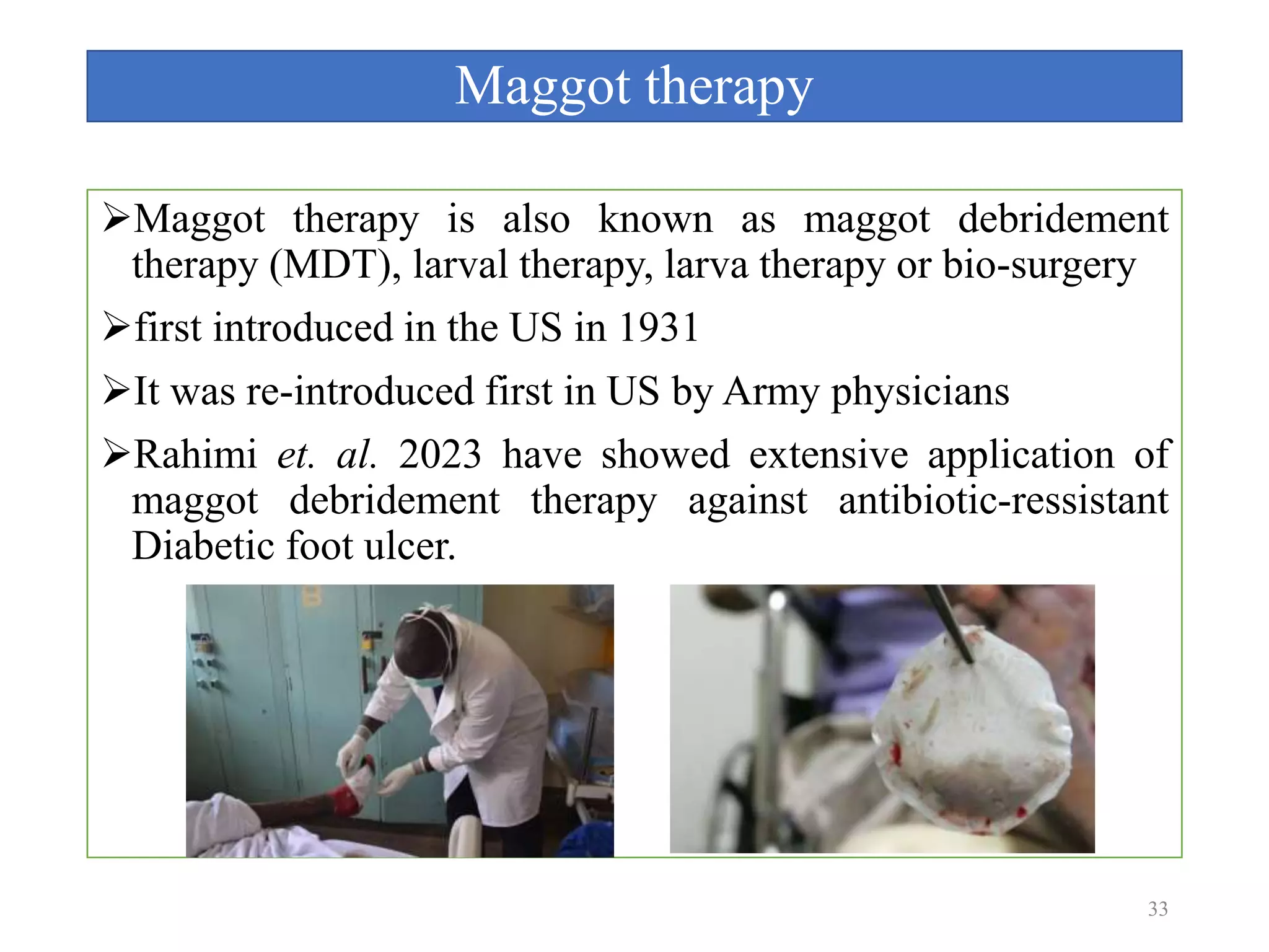 Medical Entomology - The role of insects in human medicine | PPTX