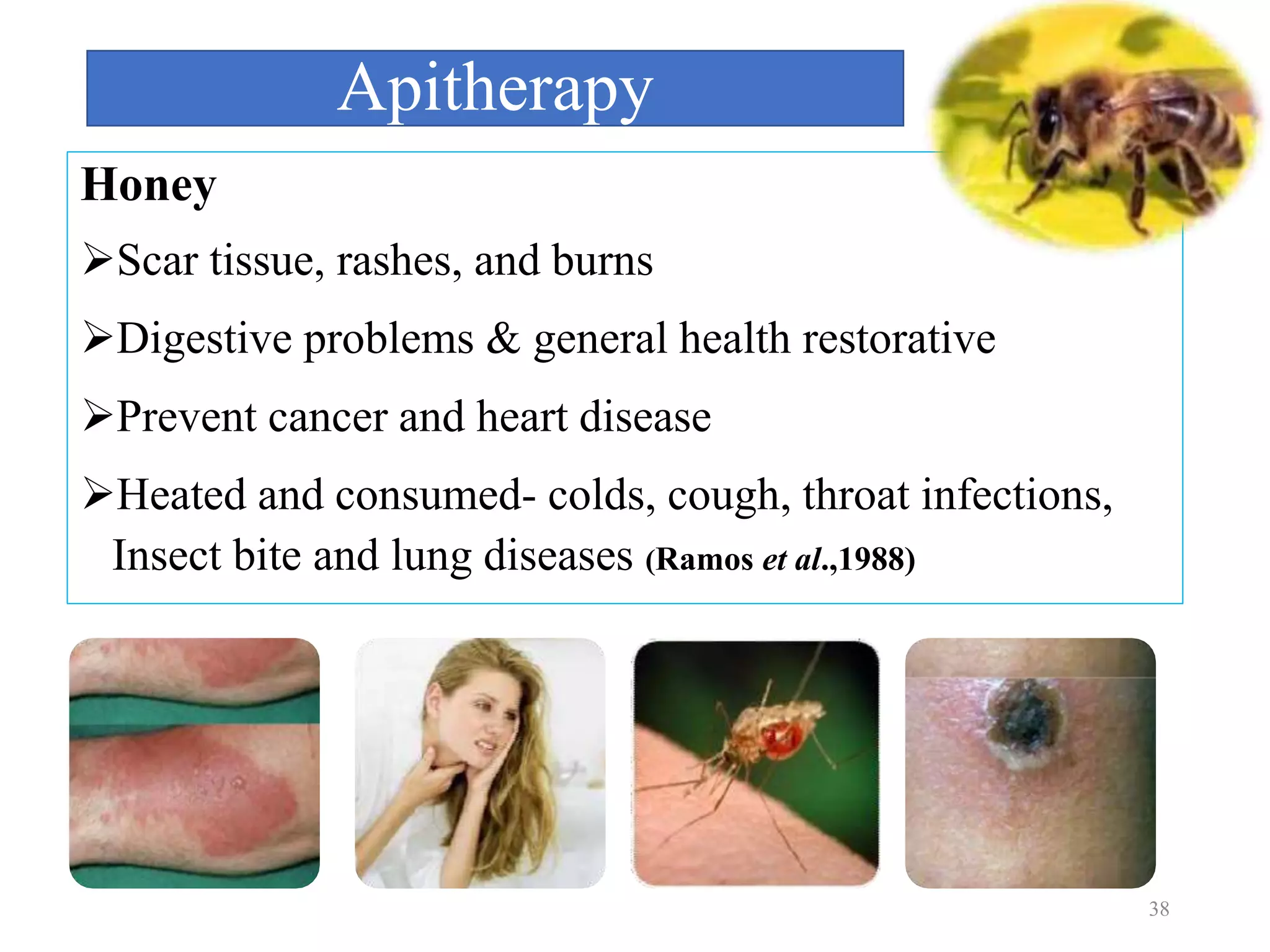 Medical Entomology - The role of insects in human medicine | PPTX