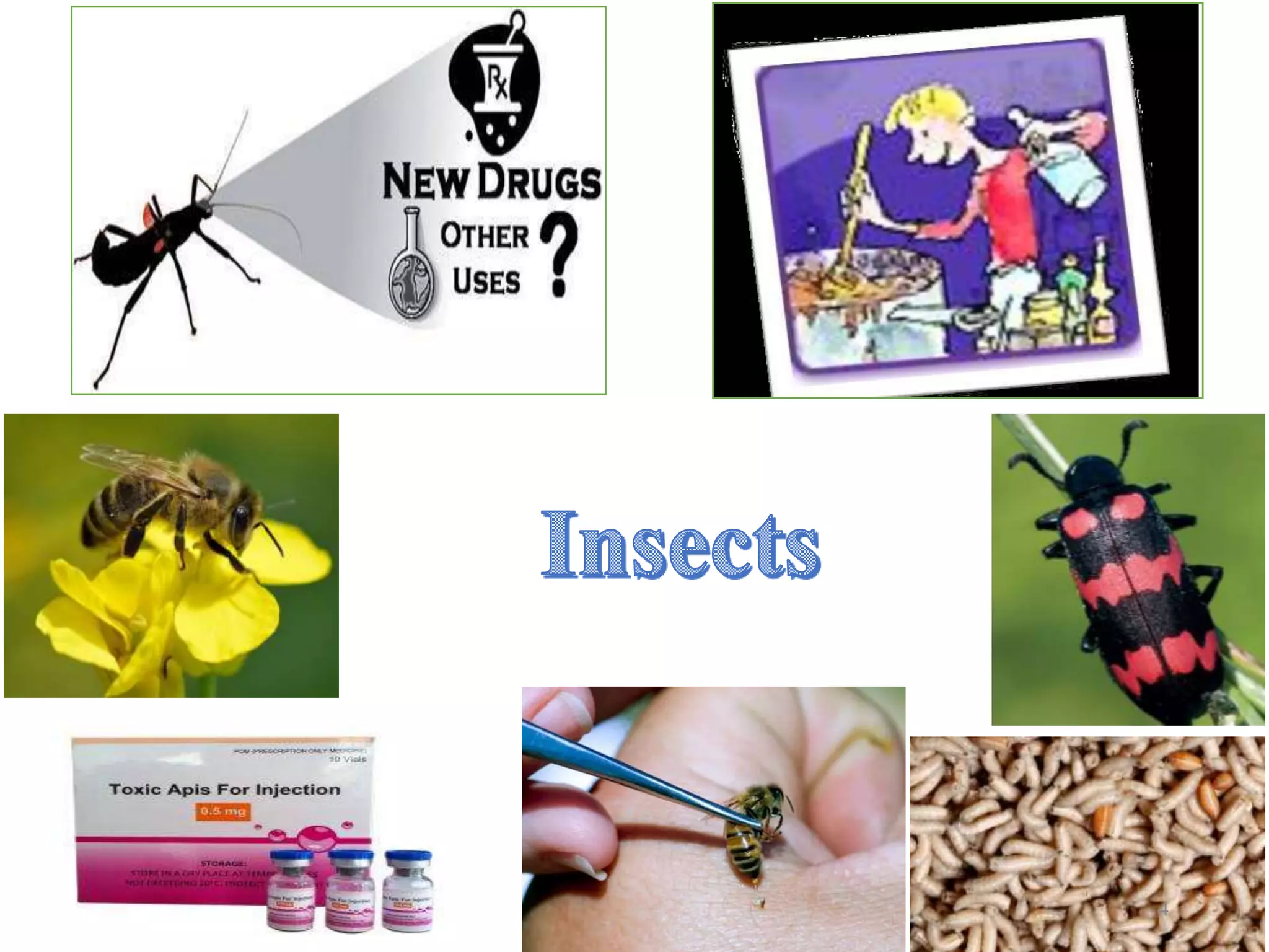 Medical Entomology - The role of insects in human medicine | PPTX