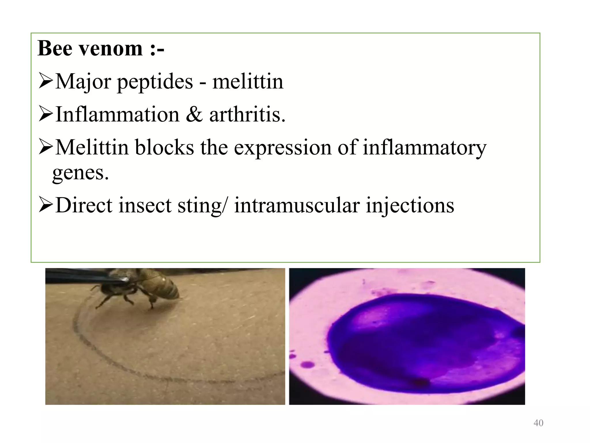 Medical Entomology - The role of insects in human medicine | PPTX