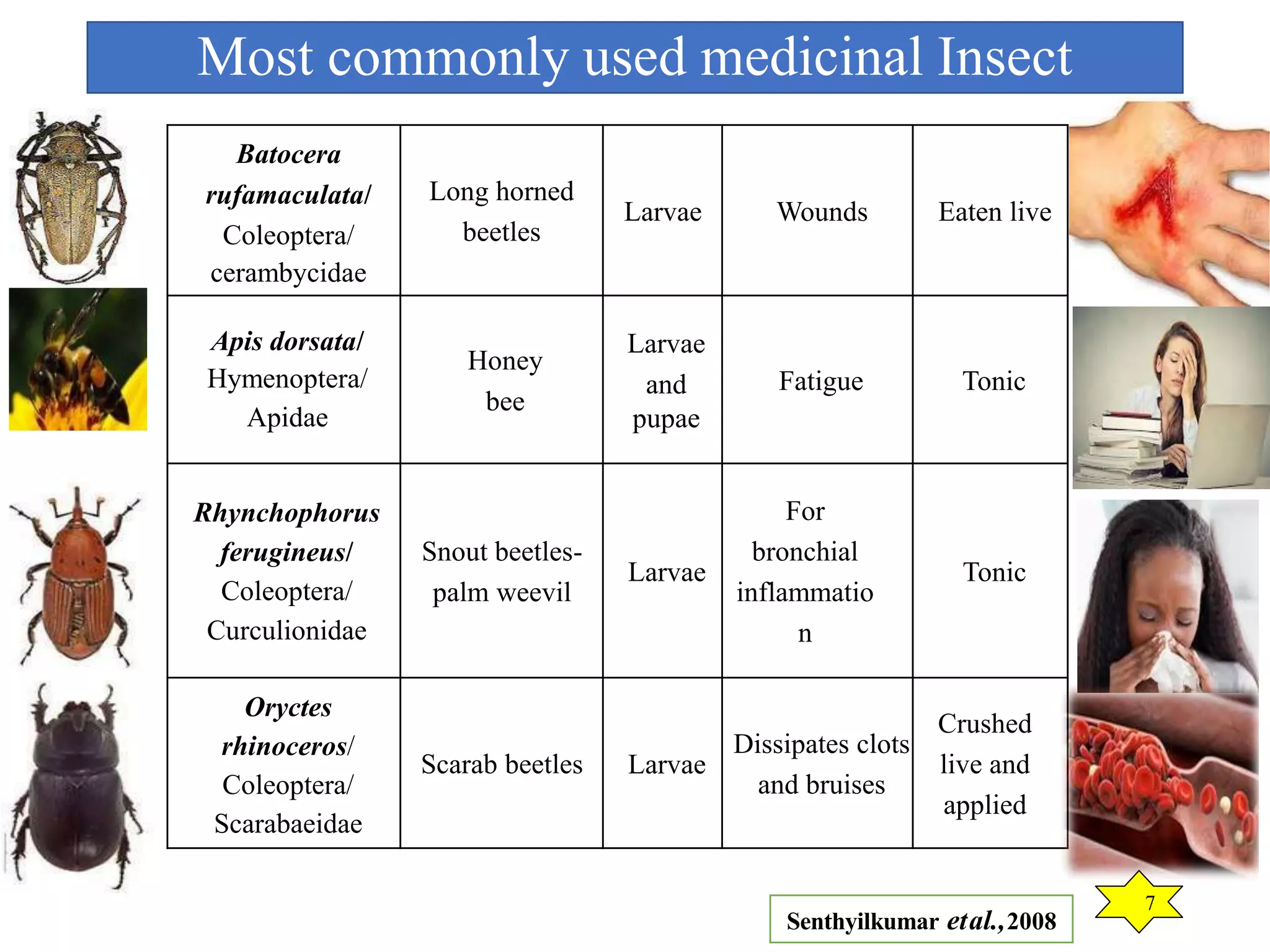 Medical Entomology - The role of insects in human medicine | PPTX