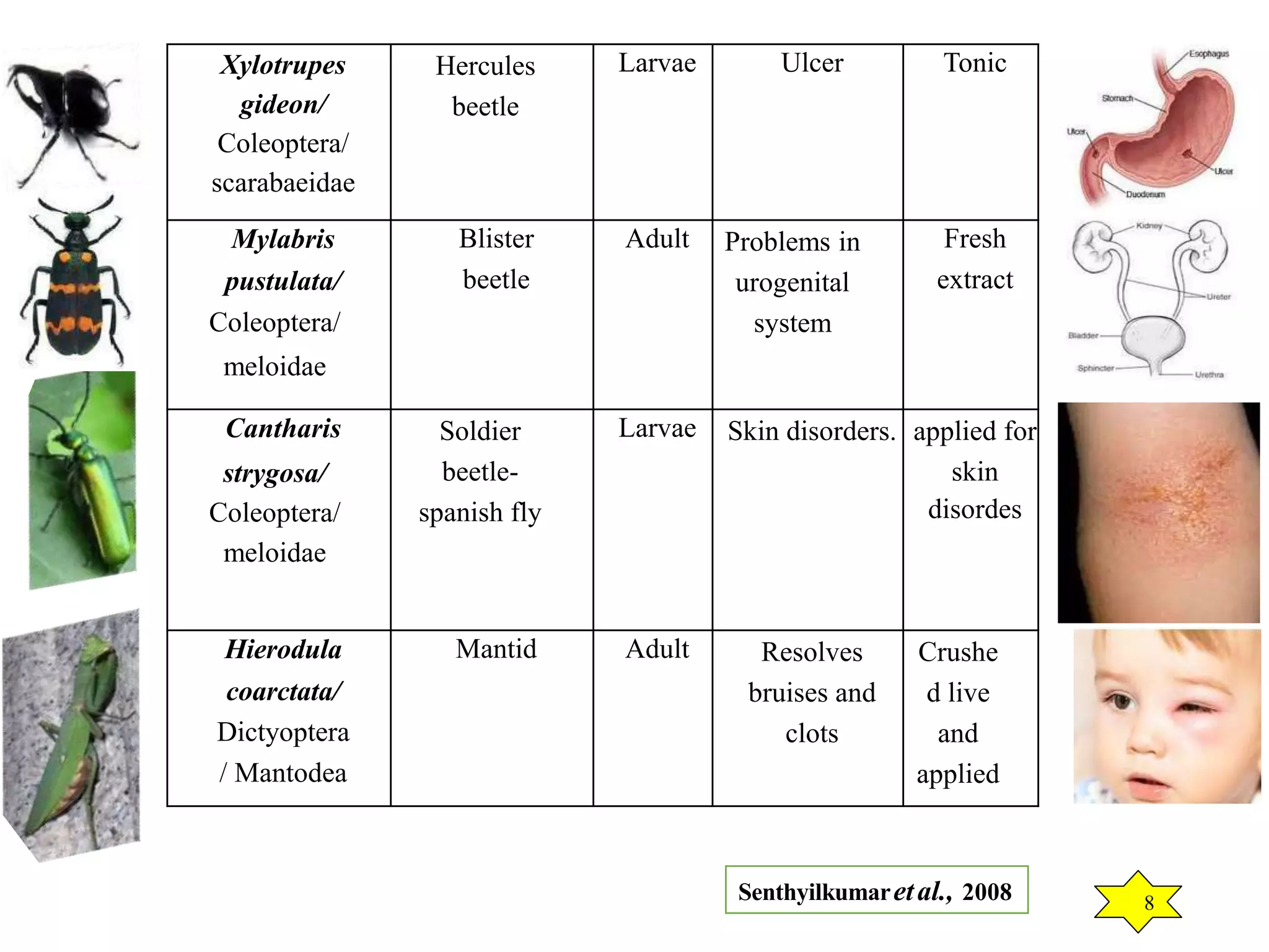 Medical Entomology - The role of insects in human medicine | PPTX