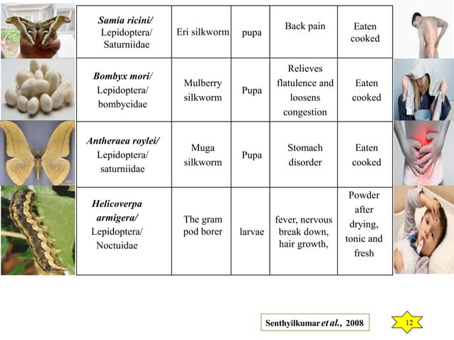 Medical Entomology - The role of insects in human medicine | PPTX
