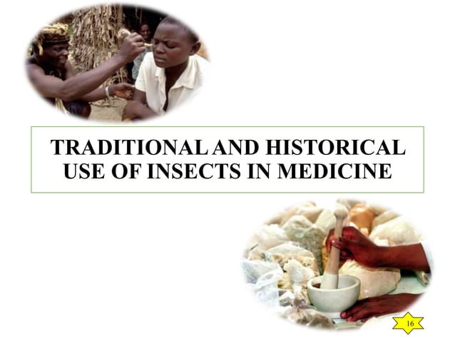 Medical Entomology - The role of insects in human medicine | PPTX