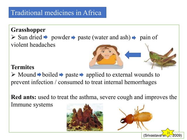 Medical Entomology - The role of insects in human medicine | PPTX
