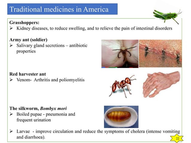 Medical Entomology - The role of insects in human medicine | PPTX