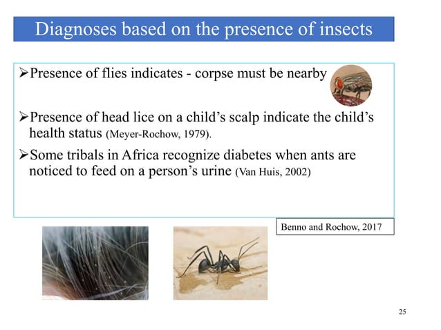 Medical Entomology - The role of insects in human medicine | PPTX