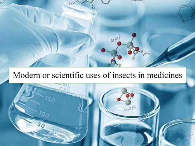 Medical Entomology - The role of insects in human medicine | PPTX