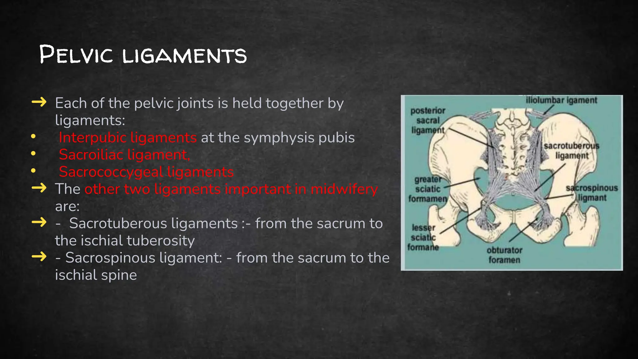 Medical File in Gynecology Presentation.pptx