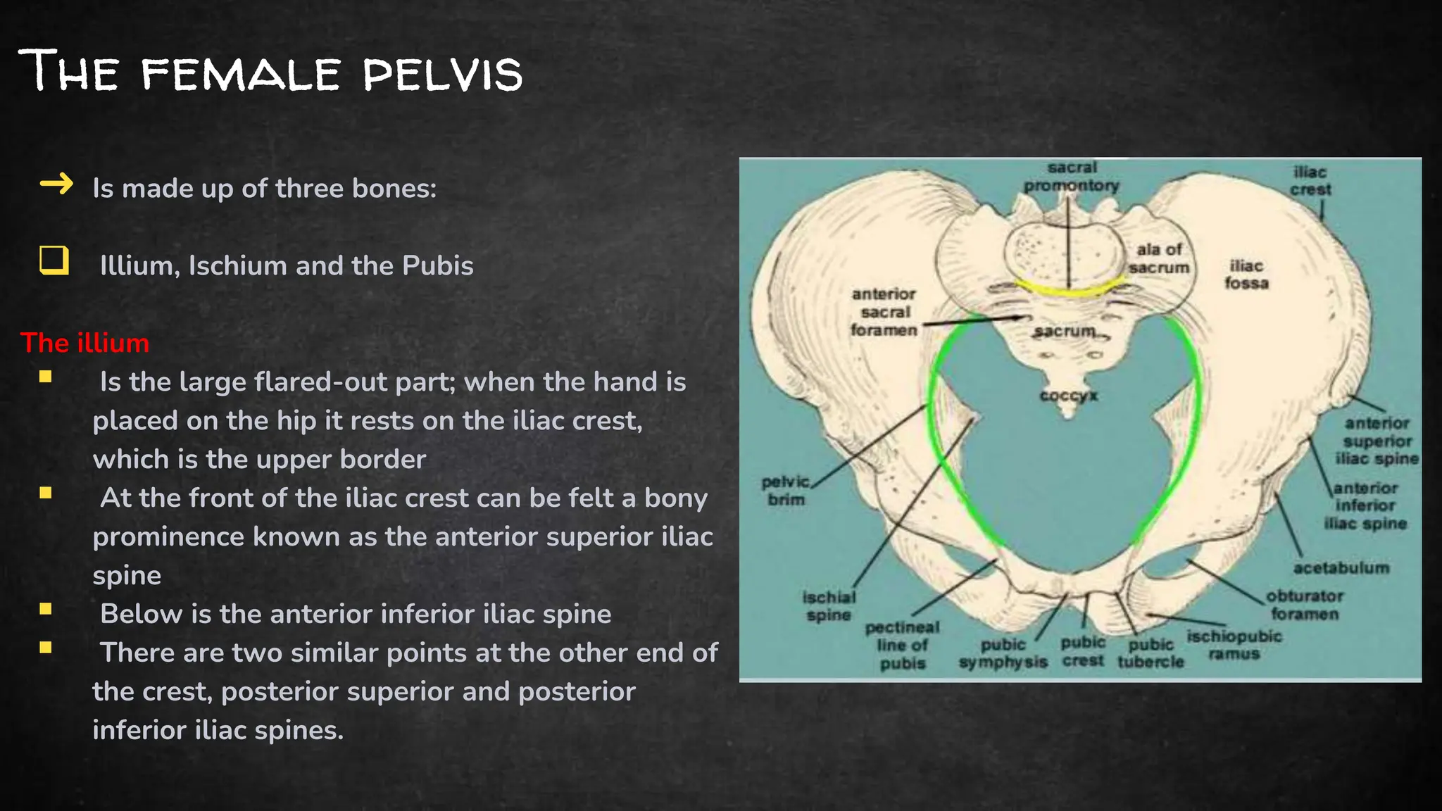 Medical File in Gynecology Presentation.pptx