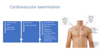 Medical history & examination | PPTX
