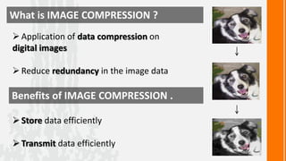 Medical image compression | PPTX