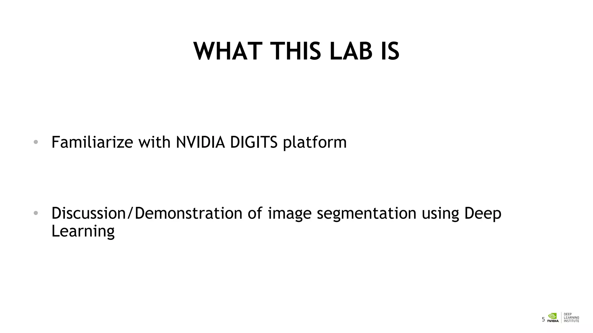 NVIDIA 深度學習教育機構 (DLI): Medical image segmentation using digits | PPT