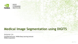 NVIDIA 深度學習教育機構 (DLI): Medical image segmentation using digits | PPT