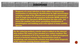 medical importance of yeast (cryptococcus neoformans & Candida albicans ...