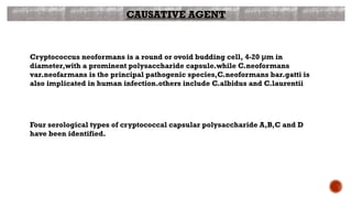 medical importance of yeast (cryptococcus neoformans & Candida albicans ...
