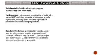 medical importance of yeast (cryptococcus neoformans & Candida albicans ...