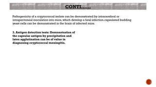 medical importance of yeast (cryptococcus neoformans & Candida albicans ...
