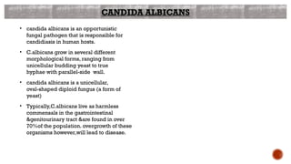 medical importance of yeast (cryptococcus neoformans & Candida albicans ...