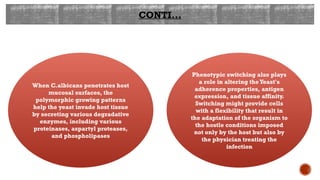 medical importance of yeast (cryptococcus neoformans & Candida albicans ...