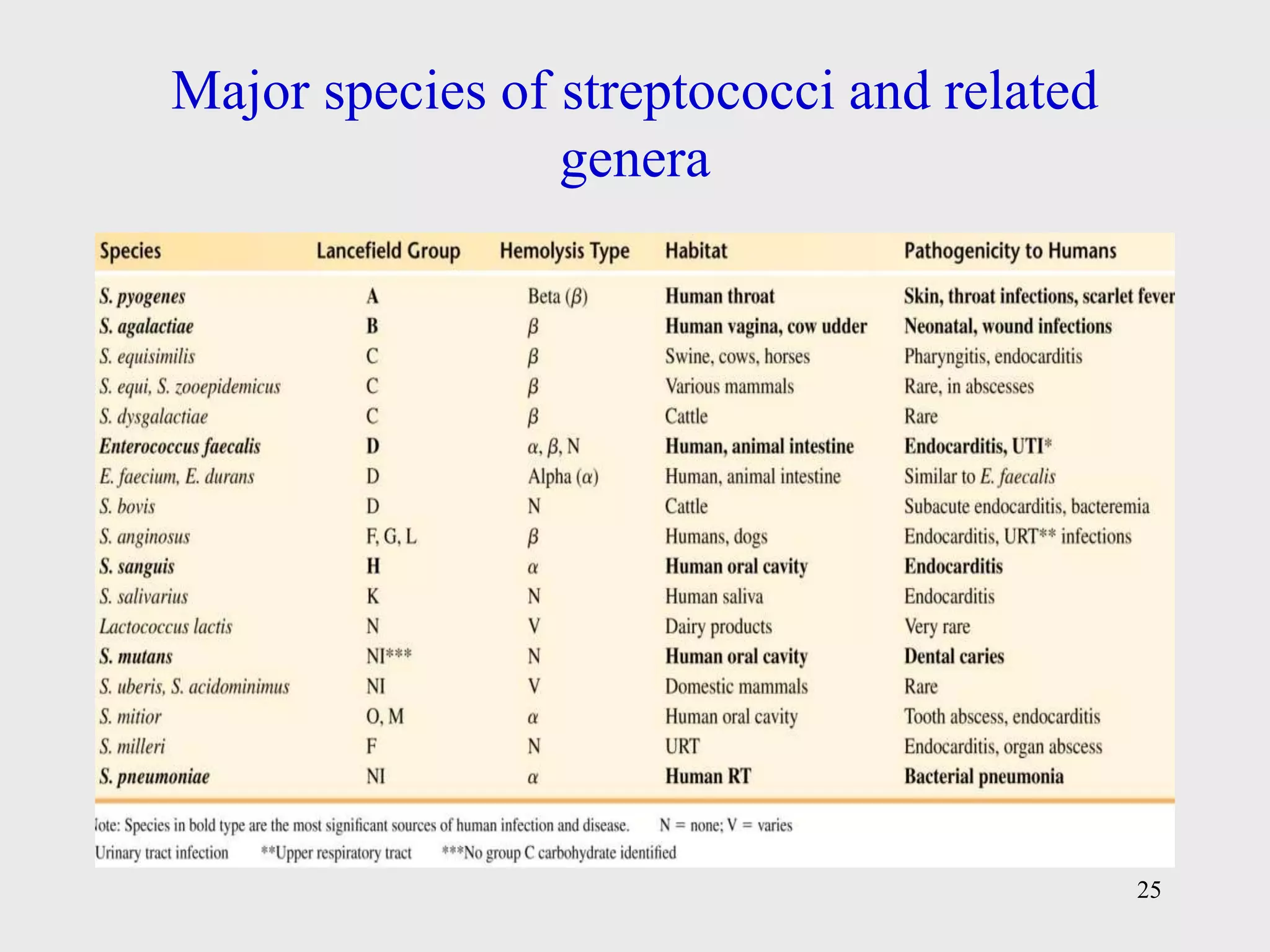 Medical Important G+ cocci.ppt