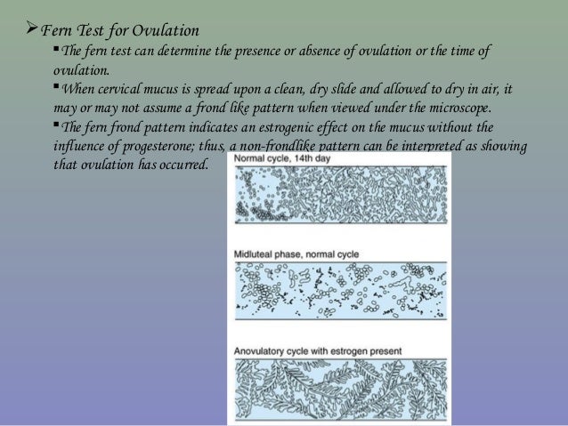 Medical investigations in gynecological patients