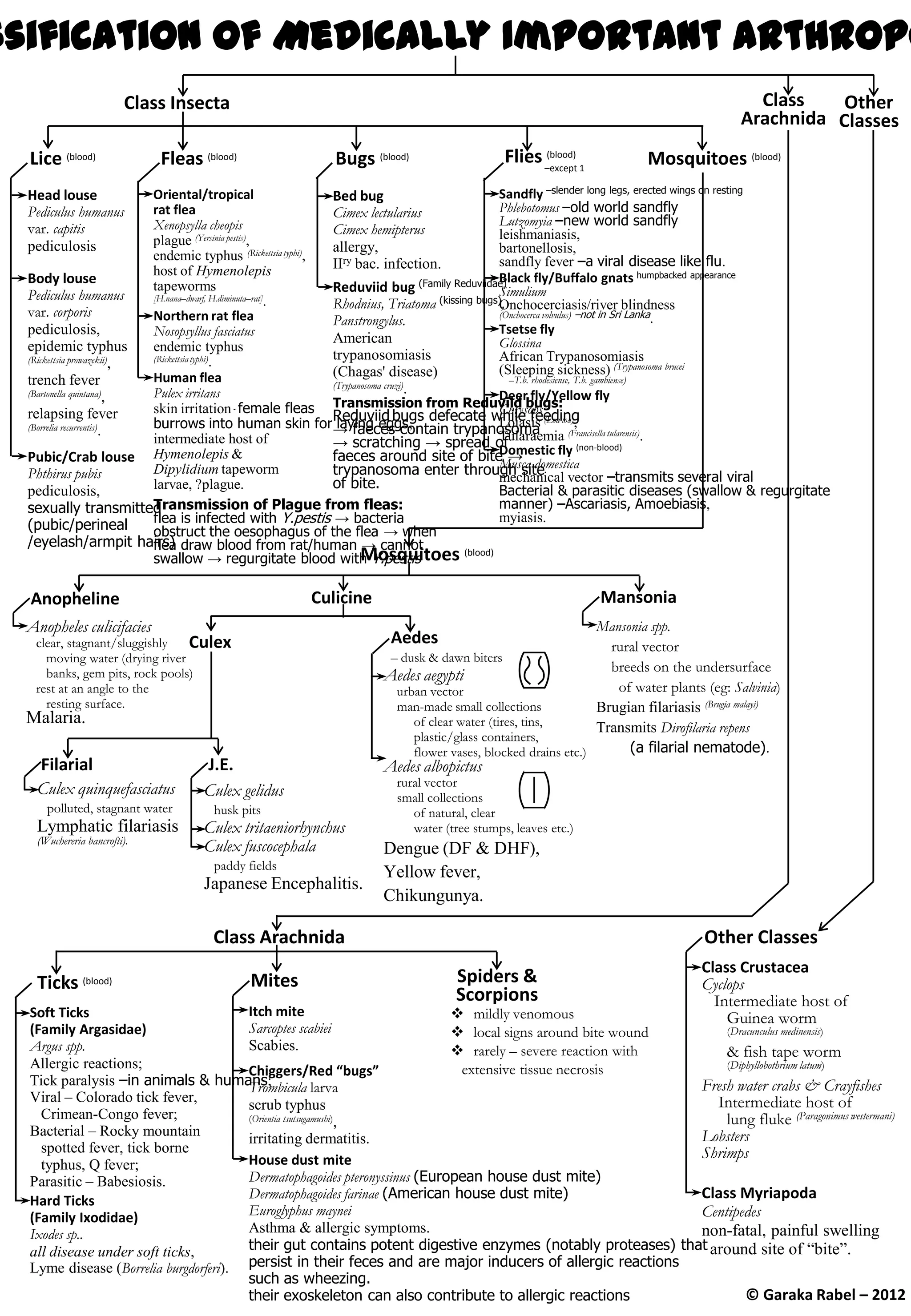 Medically important arthropods | PPTX