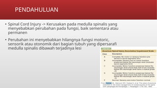 MEDICAL MANAGEMENT OF ADULT AND PEDIATRIC SPINAL CORD.pptx