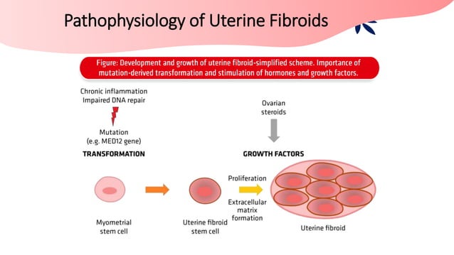 Medical Management of Fibroids | PPTX | Pregnancy | Reproductive Health