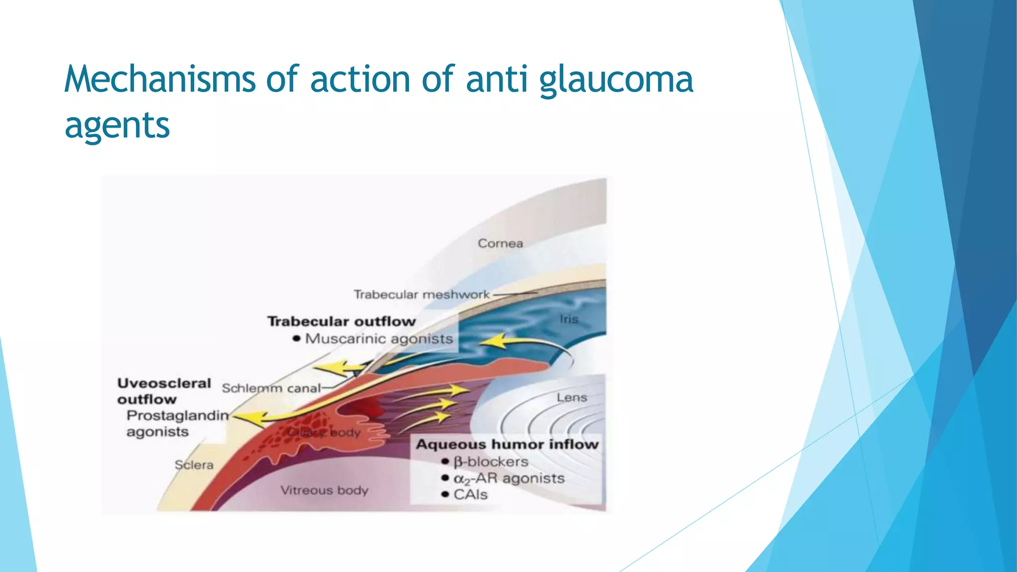 Medical management of glaucoma | PPTX