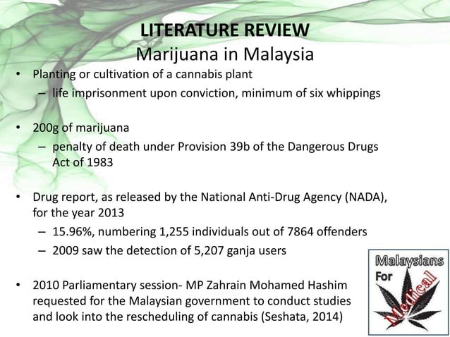 Medical marijuana - the malaysian perspective (slideshow) | PPT