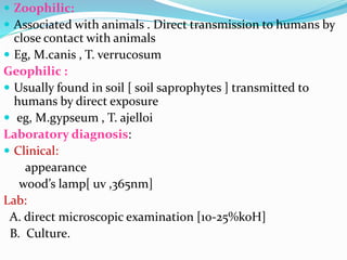 Medical microbiology | PPT