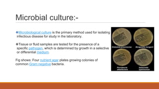 milestones of Medical microbiology-lecture notes | PPTX