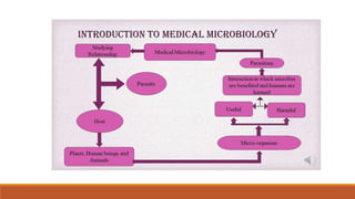 milestones of Medical microbiology-lecture notes | PPTX