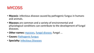 SYSTEMIC MYCOSIS | PDF