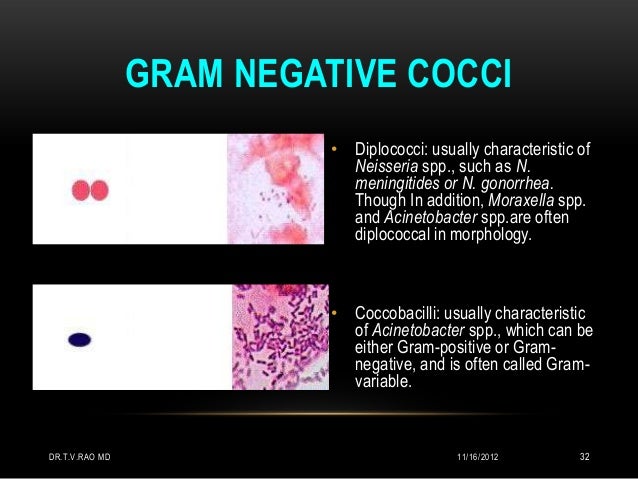 Microbiology for medical graduates