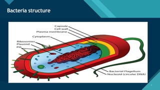 Medical microbiology Powerpoint Presentation | PPTX