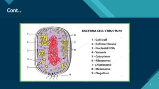 Medical microbiology Powerpoint Presentation | PPTX