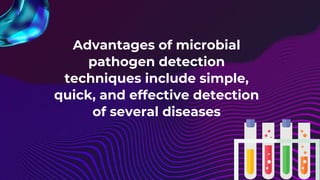 Rise of Medical Microbiology Testing Technologies: A Market Poised for ...